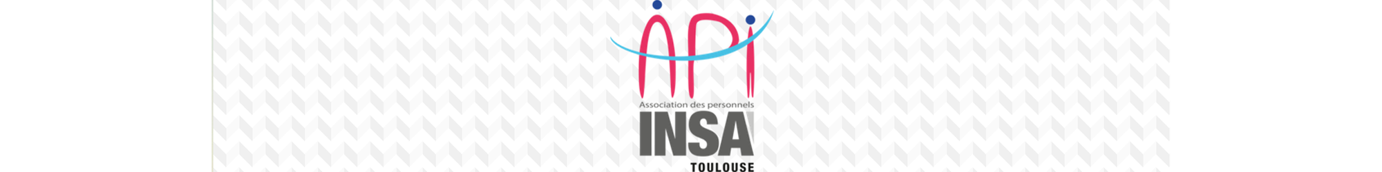 Site section ADAS Toulouse - INSA Toulouse (API)